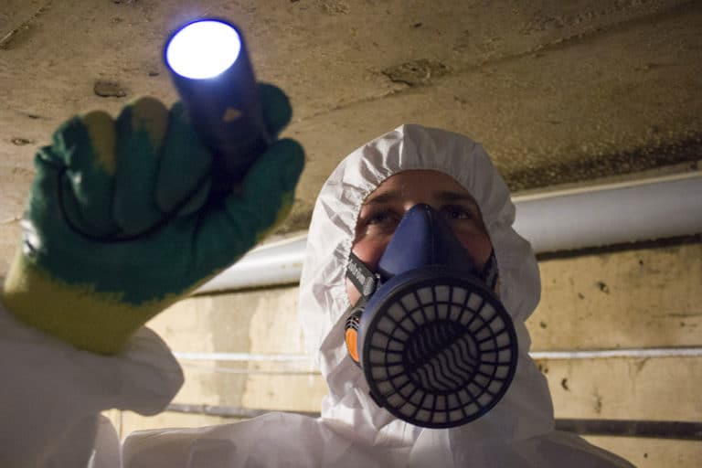 Things You Need to Know About Asbestos Refurbishment & Demolition Surveys