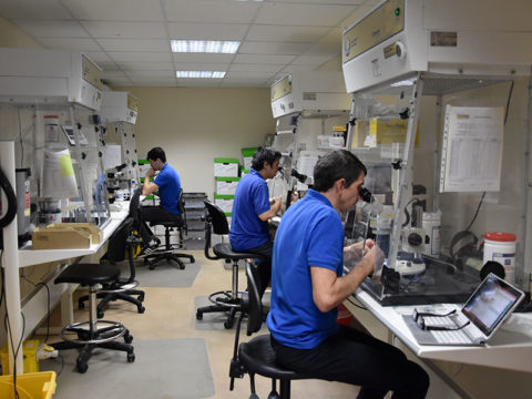 What is phase contrast microscopy (PCM) in asbestos testing?