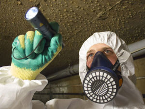 What Does Asbestos Look Like? And How to Identify it
